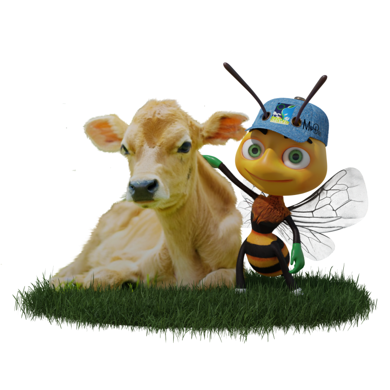 Small Farmers – Welfare Fund